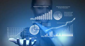 Executive Committee - DNV