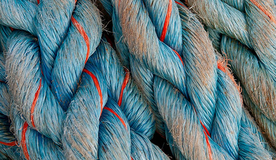 Executive Committee - DNV