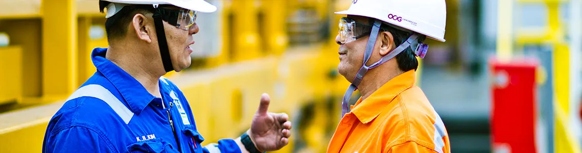 Safety Schemes in Procurement (SSIP)